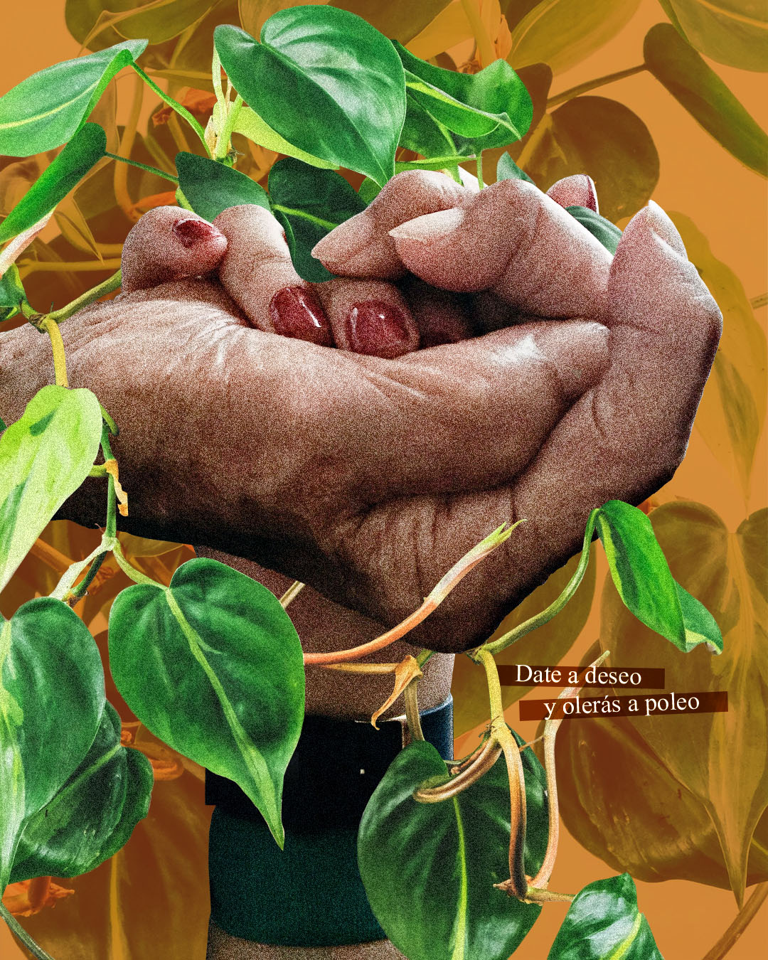 Date a deseo y olerás a poleo - Constanza Nivón